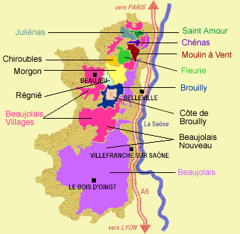 Vinene fra Beaujolais | Bourgogne Vinblog
