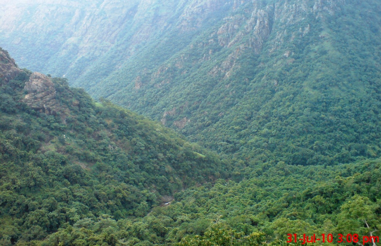 Kolli Hills in Namakkal - Exploring My Life