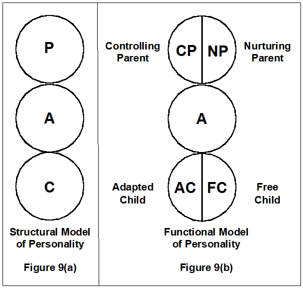 Transactional Analysis Theory and Practice: Transactional Analysis ...