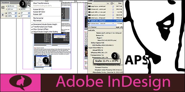 DesignEasy: Clear (Reset) Transformation in Adobe InDesign