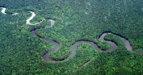 RIO ORINOCO: DIVISIONES DEL RIO ORINOCO