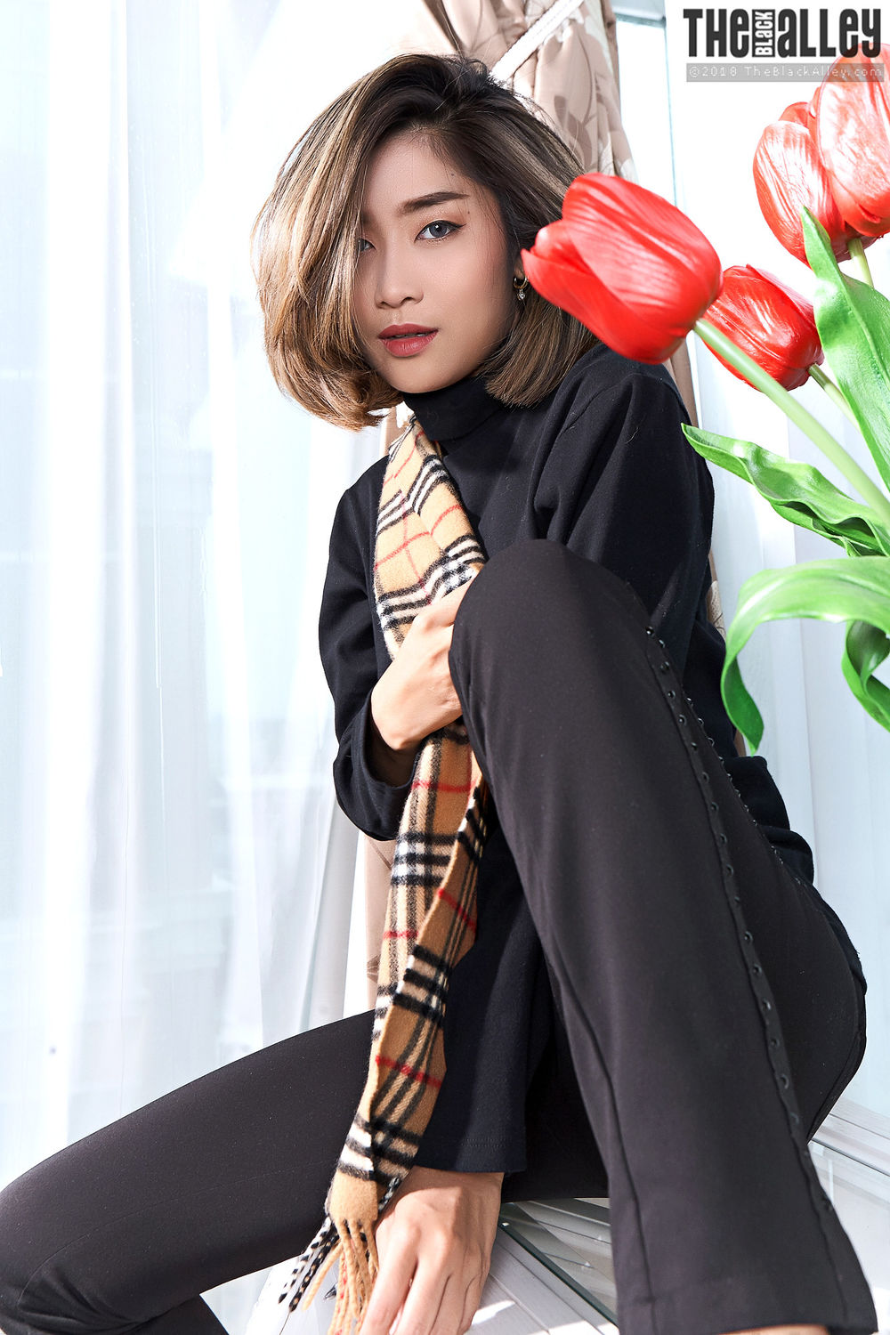 [The Black Alley] Apple Set 50