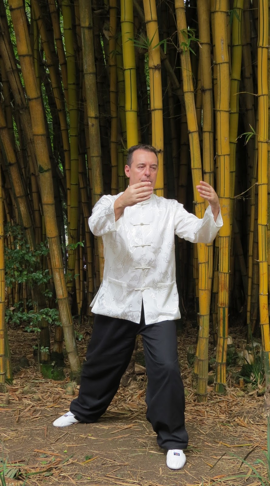 M.I.T.O.: Os 12 trabalhos do Hun yuan Qi gong - orientação geral ...