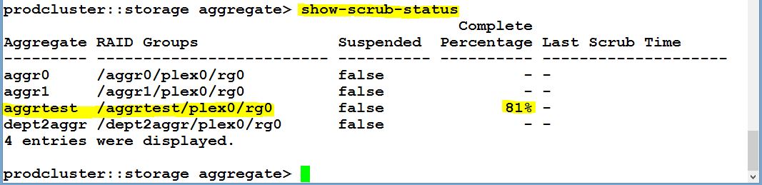 Remote Infrastructure Management: NETAPP ONTAP 9 RAID TEC CONFIGURATION