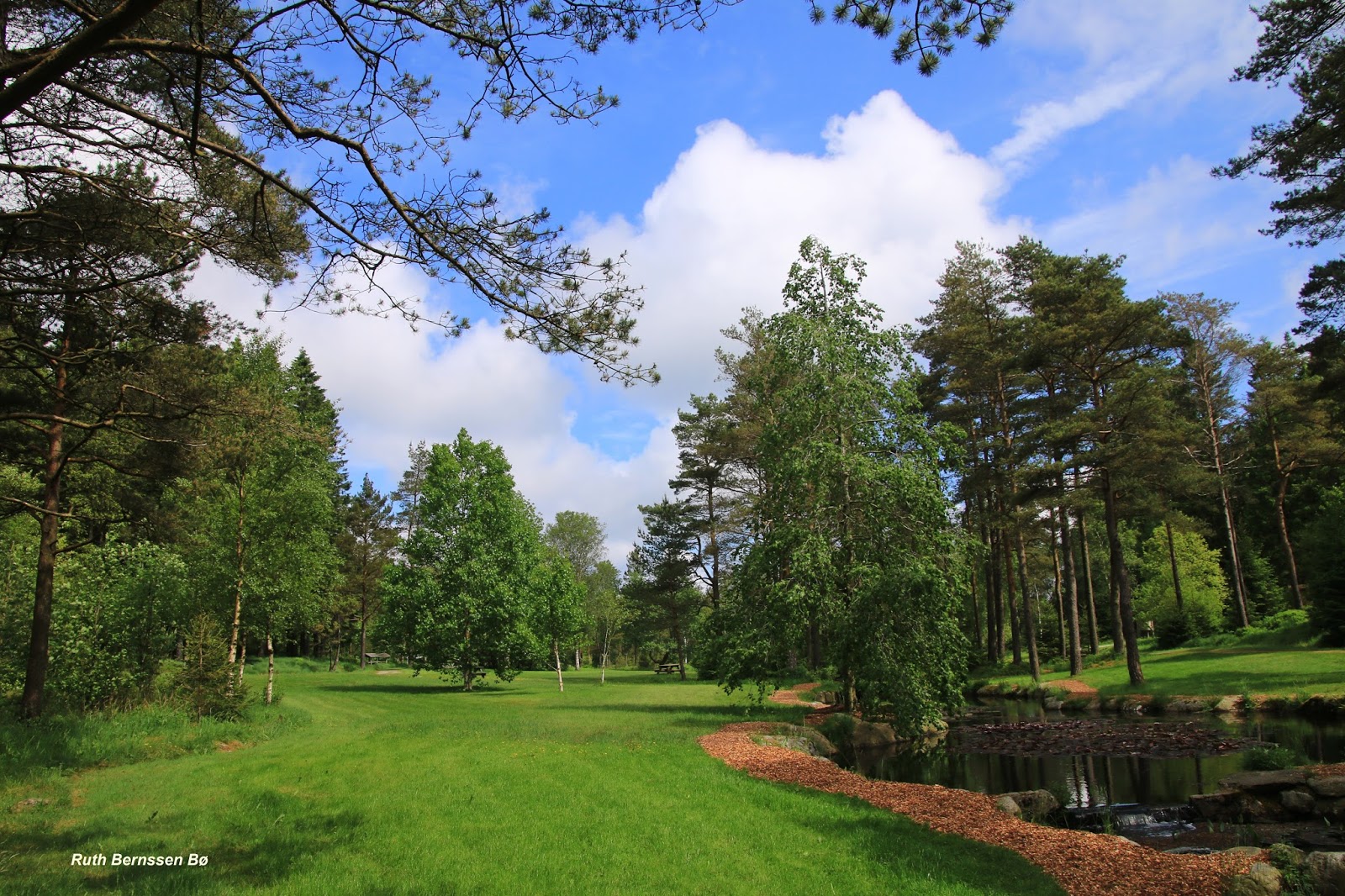 solsikken: Rogaland Arboret