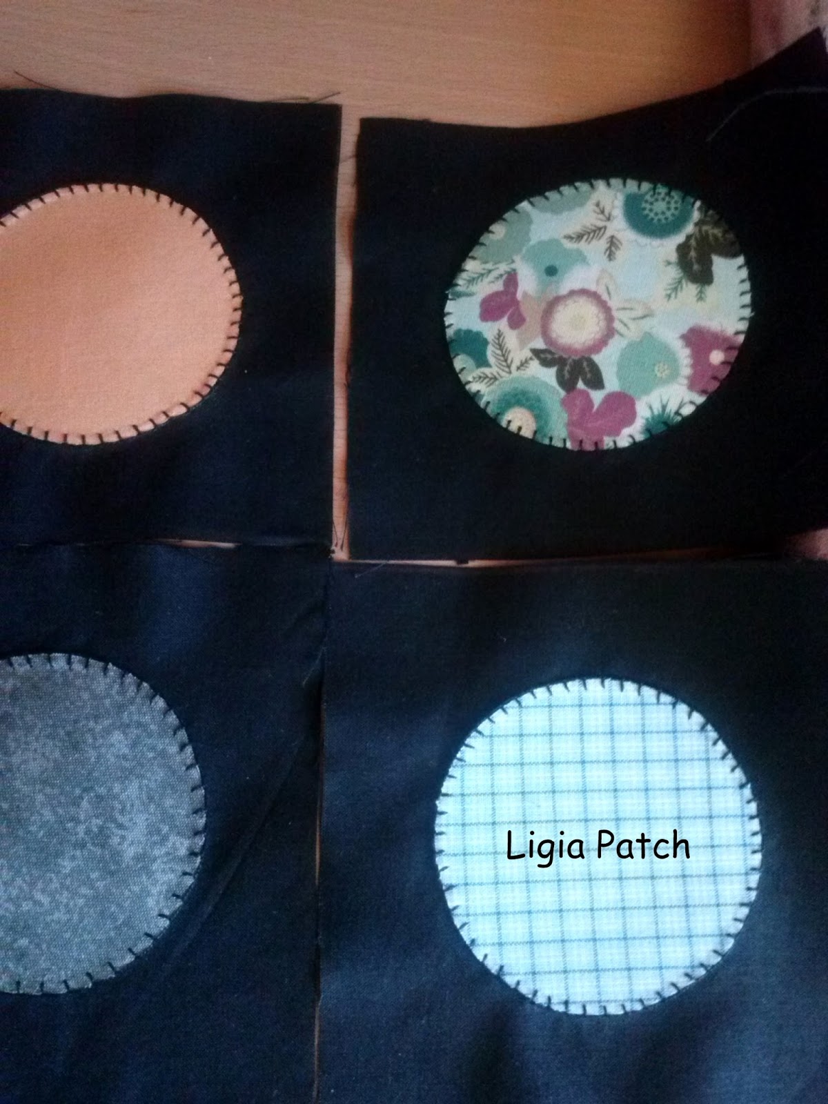 Ligia Patch: QUILT 365 (3)