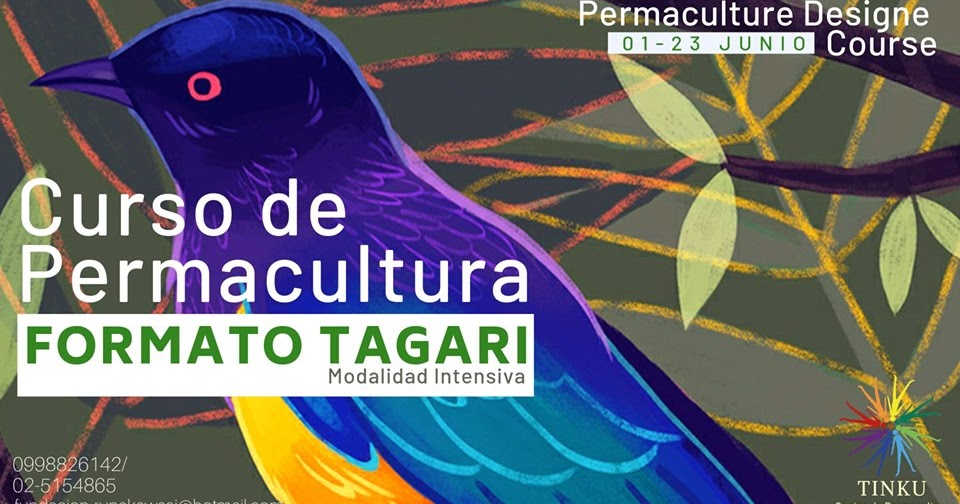TAGARI.PDC.INTENSIVO