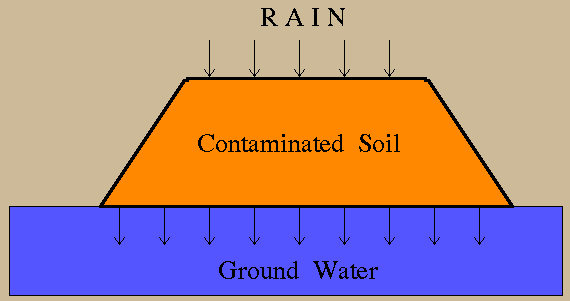 Environmental Science: Ecosystem Ecology