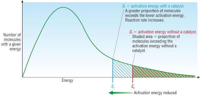 savvy-chemist: Transition metals: Homogenous catalysts