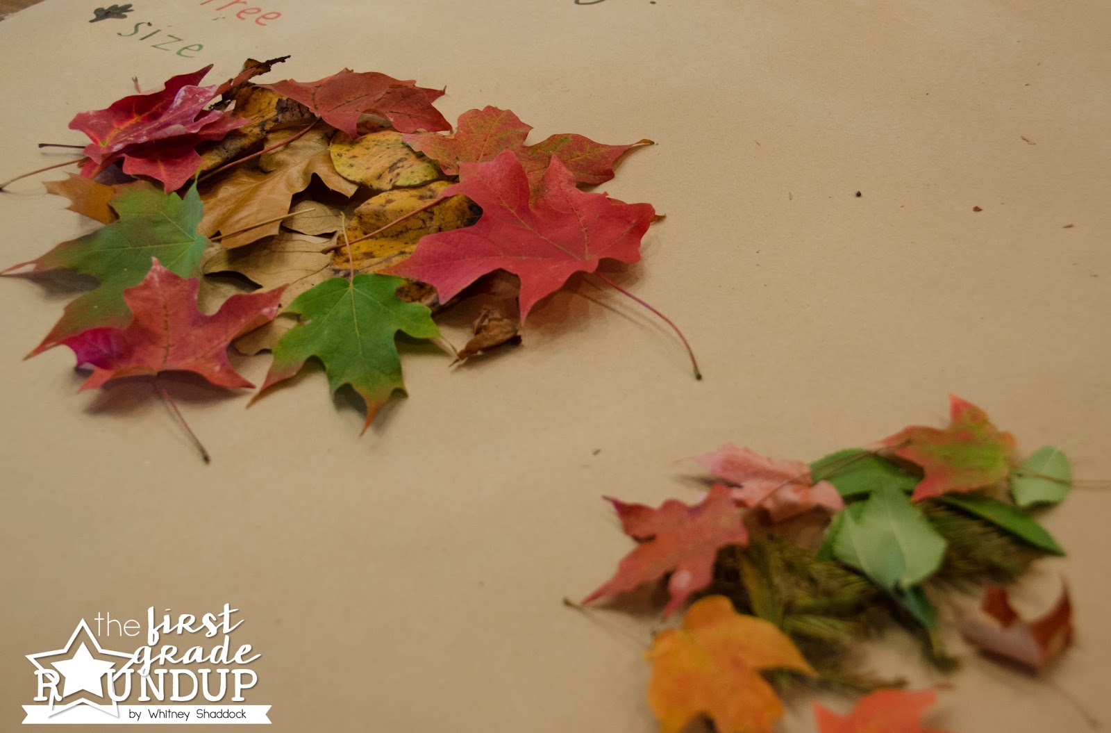 4 simple fall leaves preschool crafts & science activities - The First ...