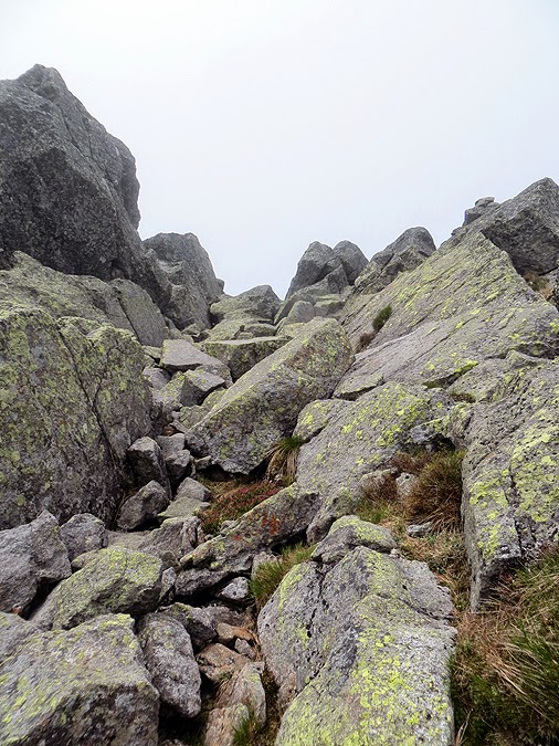 Hiking in the White Mountains: Extended Presidential Range Traverse ...