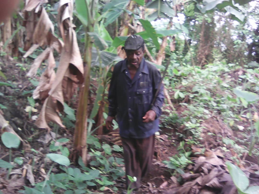 GREEN AND BETTER WORLD: GREEN AND BETTER WORLD doing organic farming ...