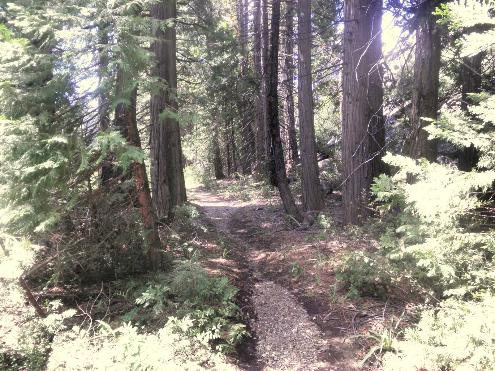I'm Going Outside: Pioneer Trail, Emigrant Gap