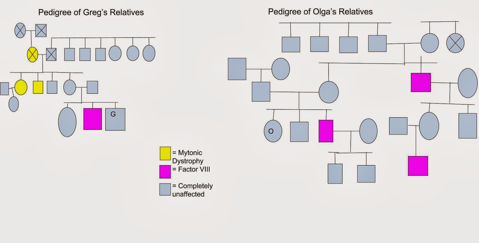 Leah's Biology Blog: Sickness and in Health