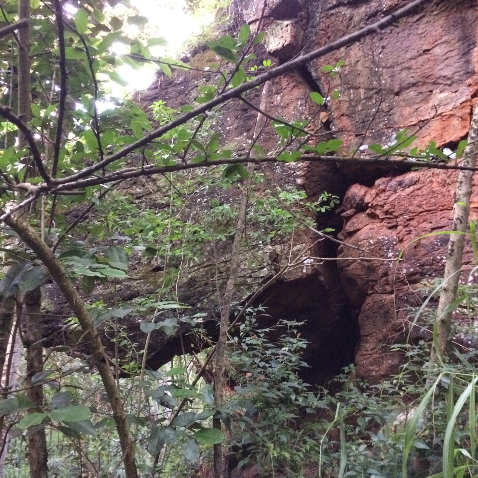 Pohukaina Cave: Waiawa