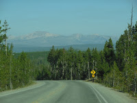 Crazy Writing Person Who Also Knits & Draws: The Simon Lagree of Meatballs