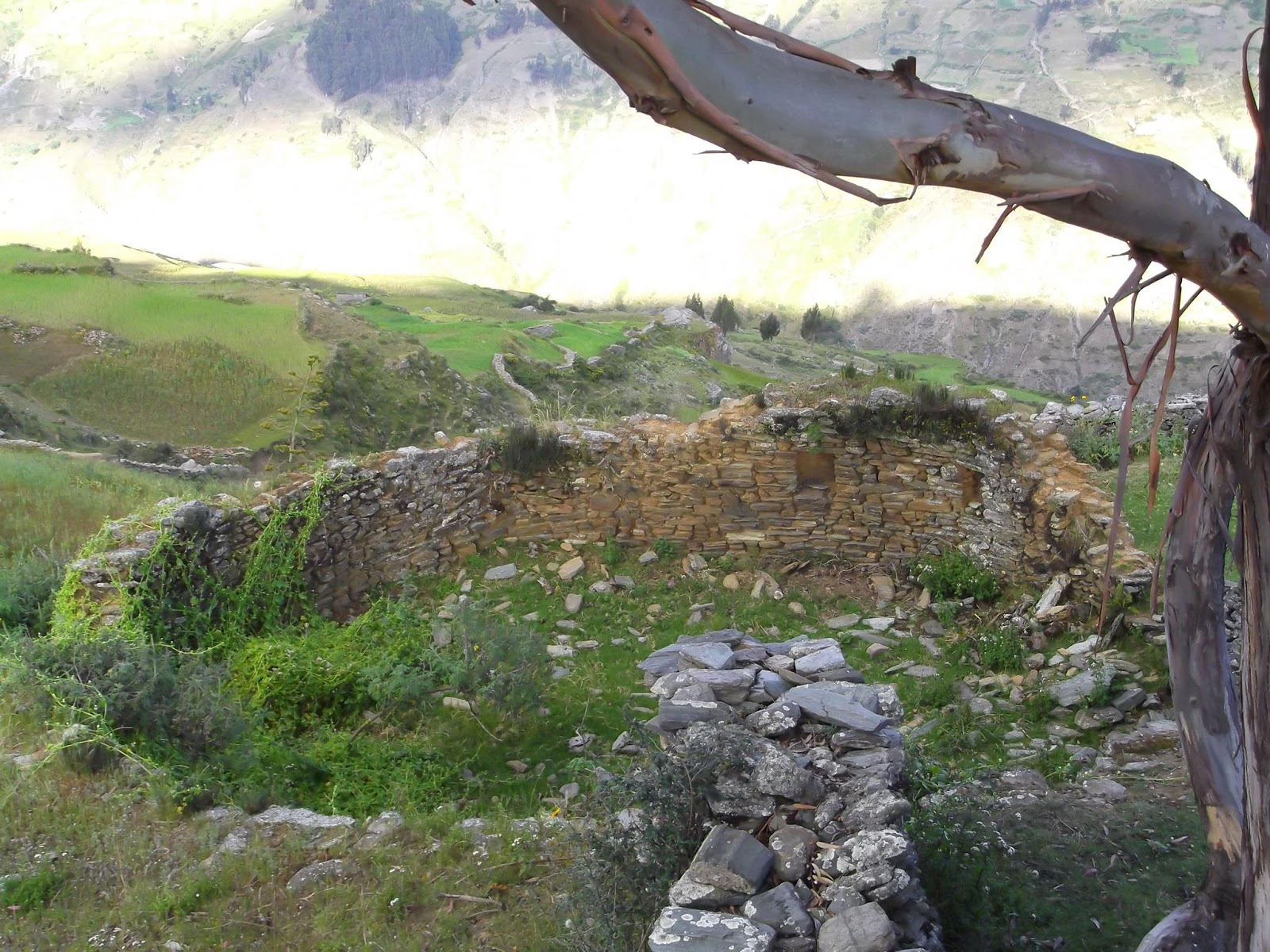 LA CIUDAD ECOLOGICA DEL DISTRITO DE PACHAS