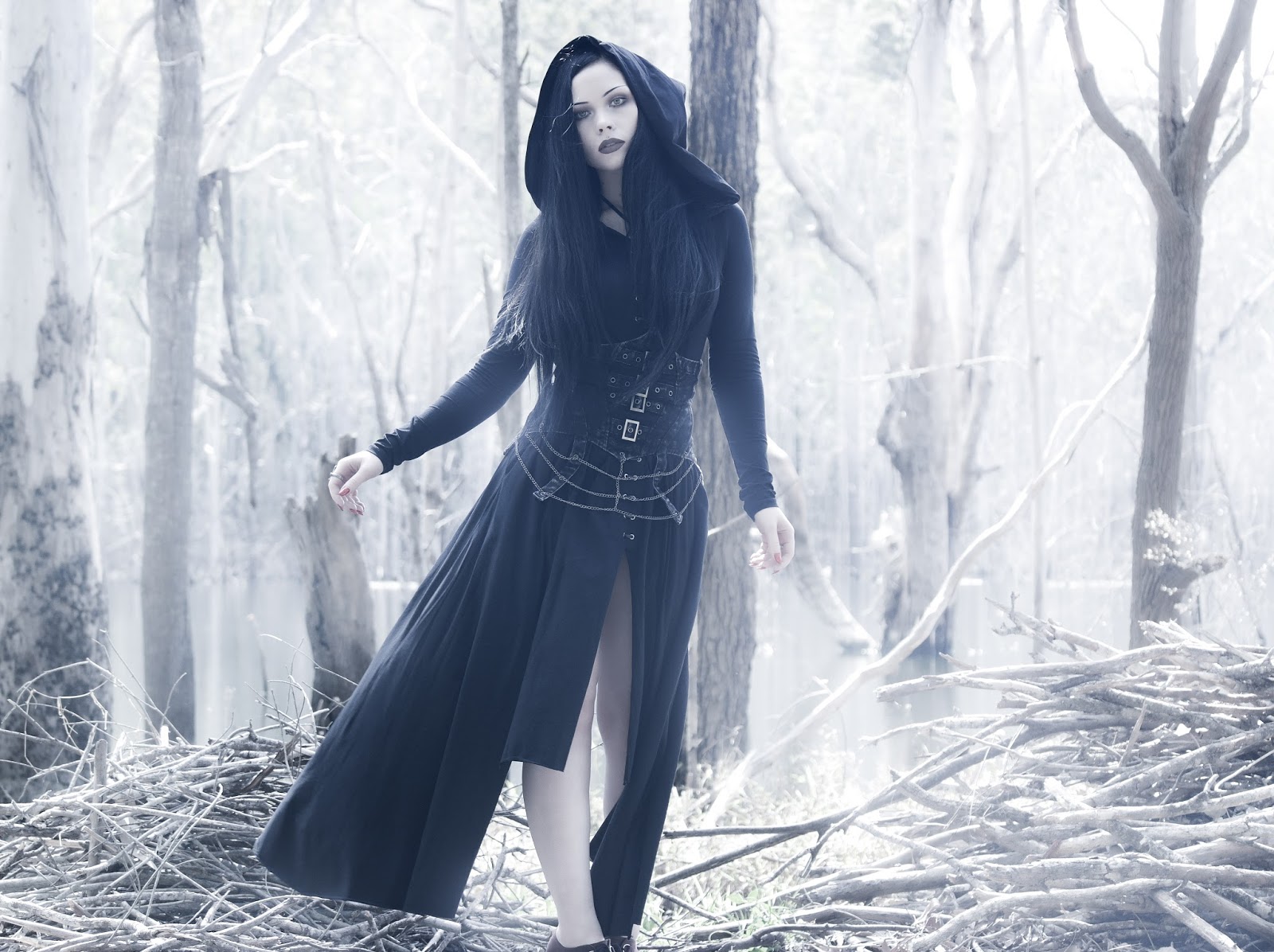 OFFICIAL DEVILNIGHT BLOG