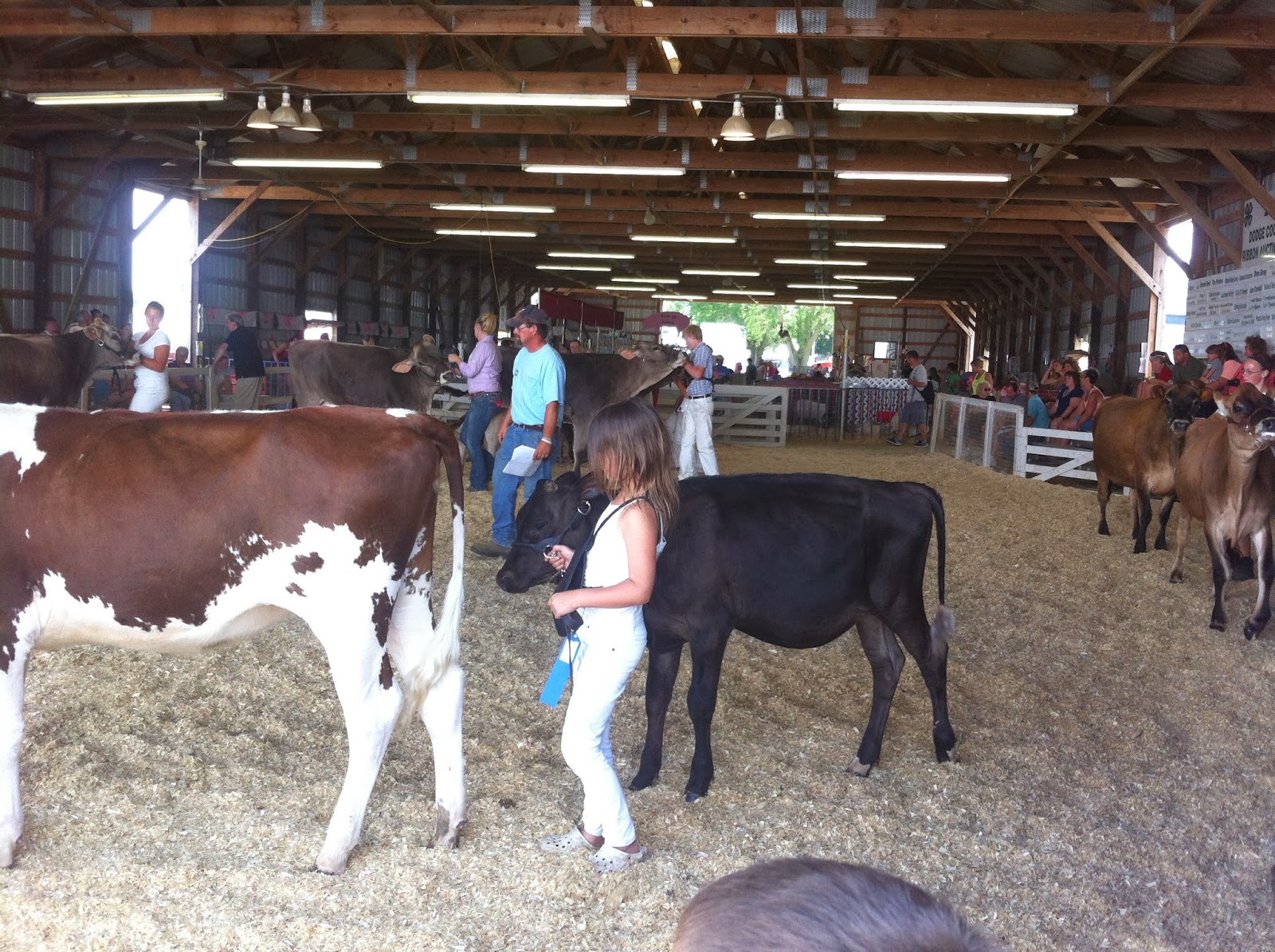 Holy Cow is PolyKow!