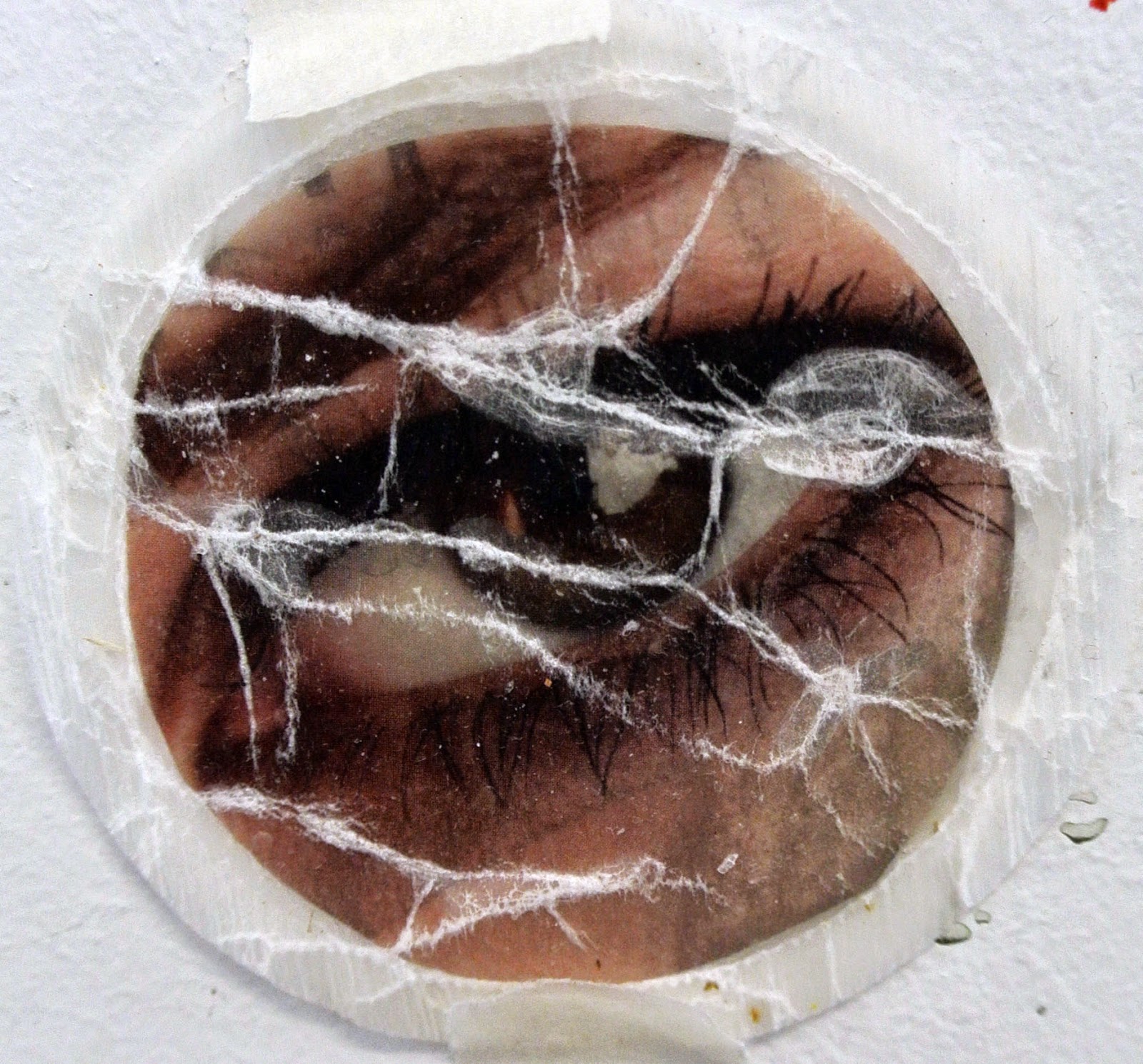 This Is All Art: Tea bags - Wax White