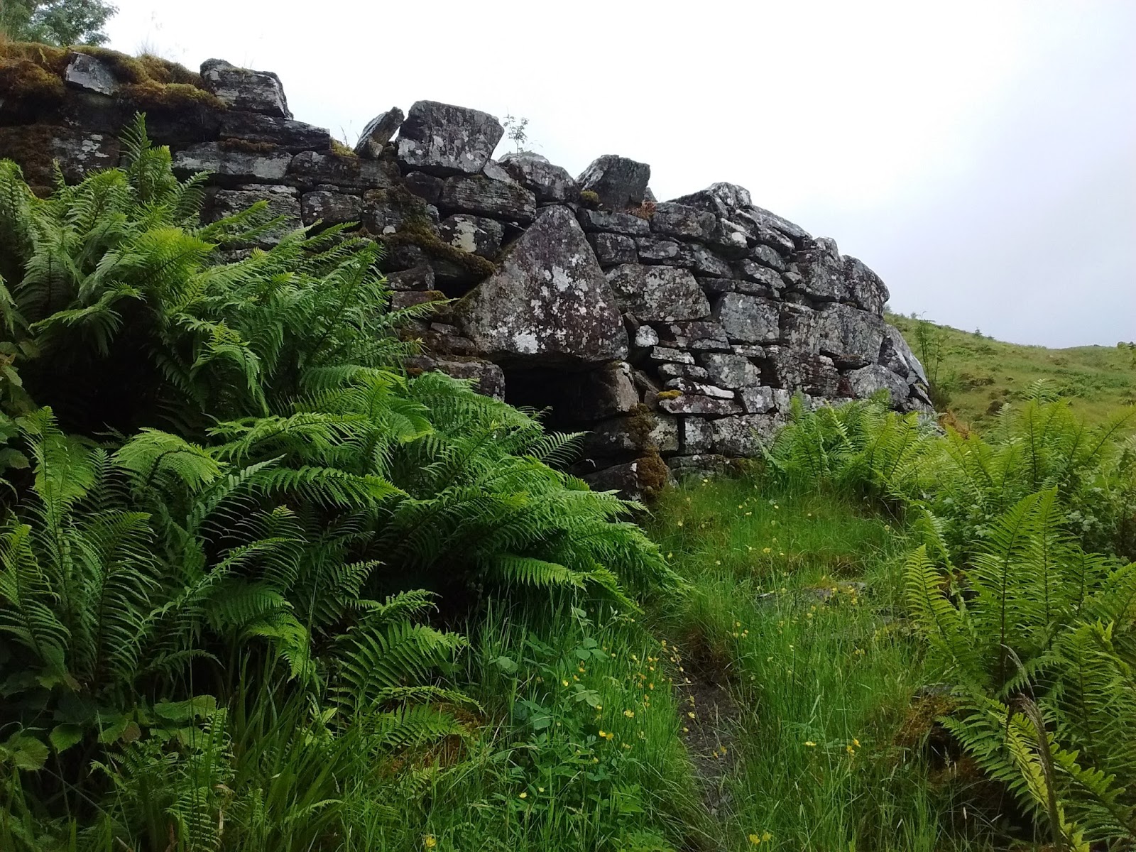 Isle of Skye Broch Baggers: Caisteal Grugaig Visit 27 June 2017