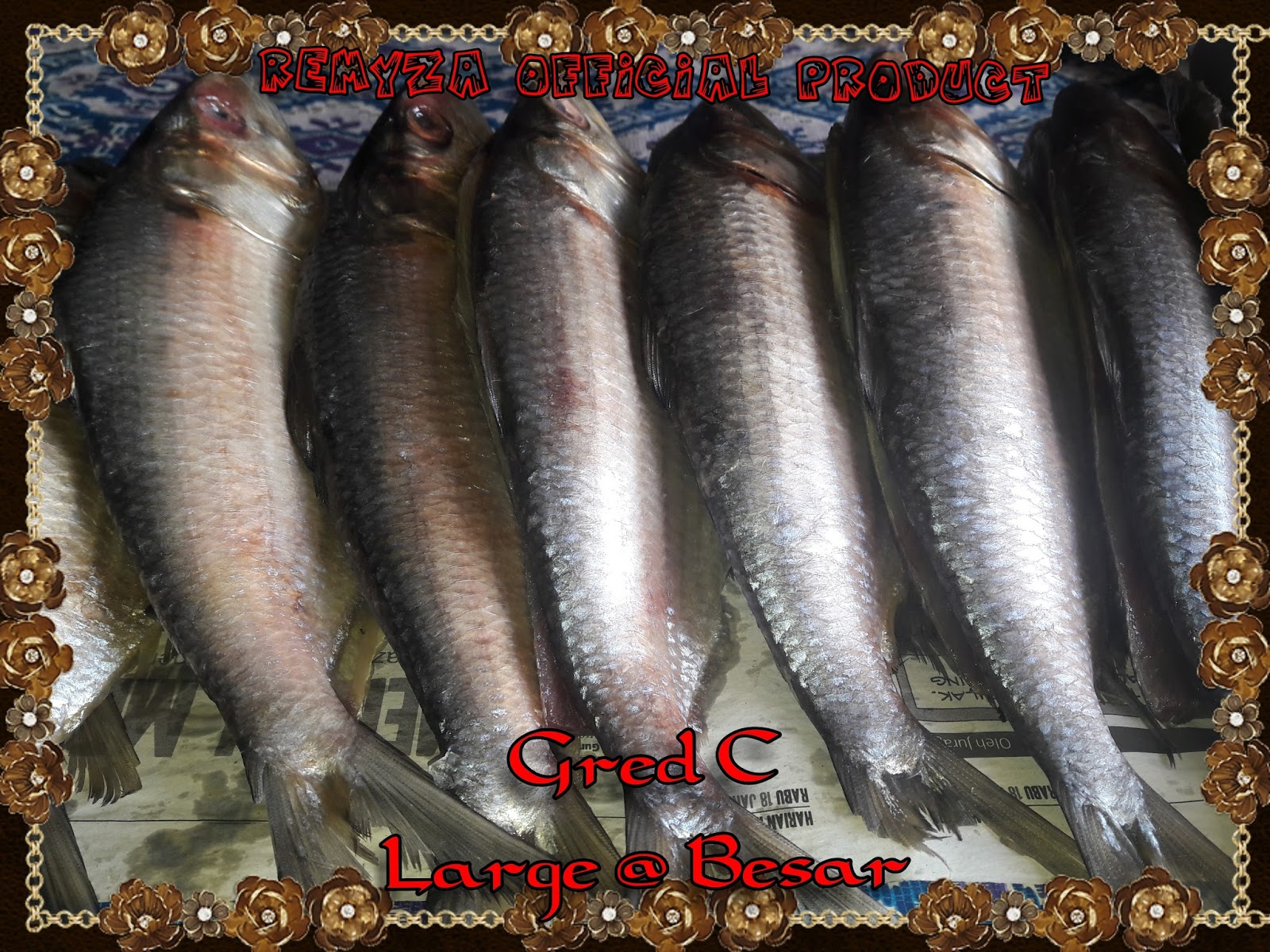 Pembekal Ikan Terubuk Masin Sarawak