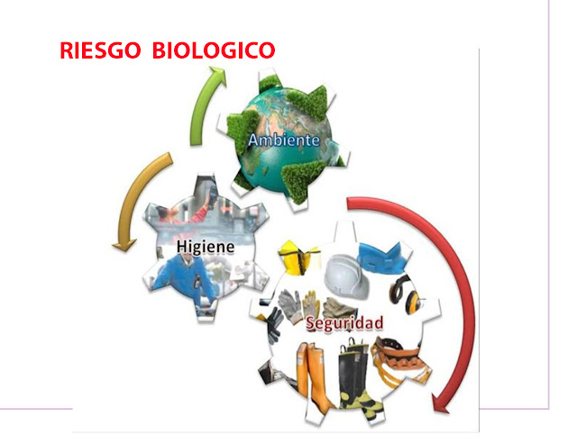 CURSOS en SEGURIDAD, SALUD OCUPACIONAL y MEDIO AMBIENTE. SSOMA.: Curso ...