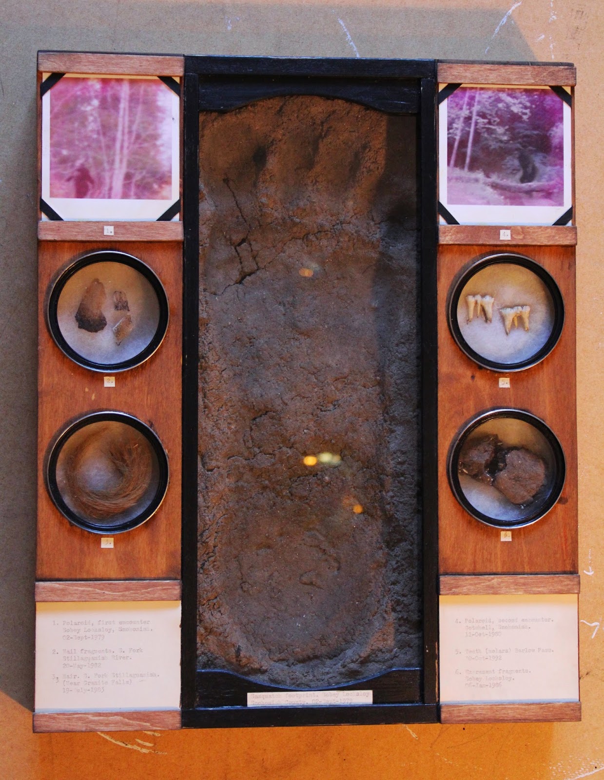 Curiomira: The Bigfoot print.