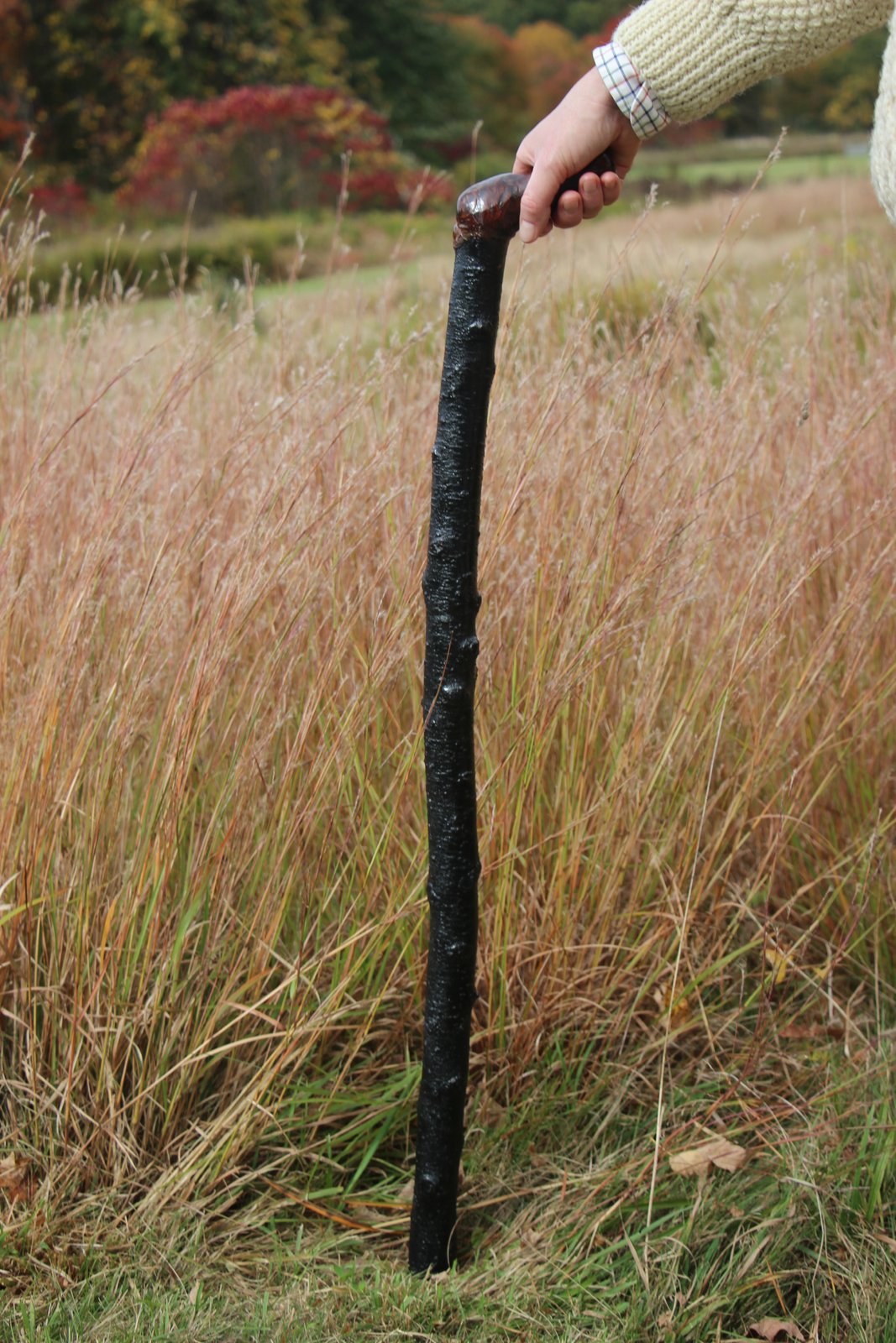 Salt Water New England: The Irish Blackthorn Walking Stick