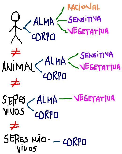 Rumo ao 100: Roteiro de Filosofia - Simulado 18.06