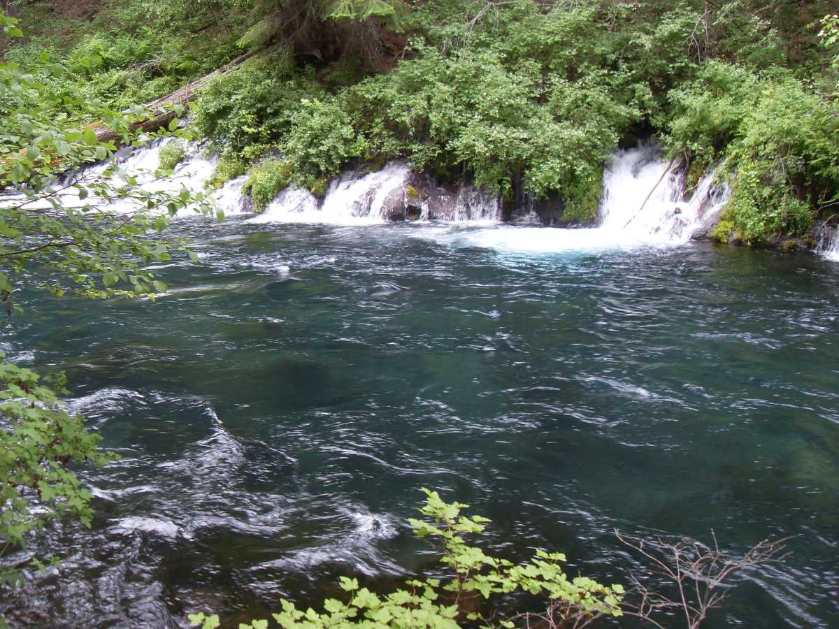 Welcome to Adele's Blog: Metolius River Camping