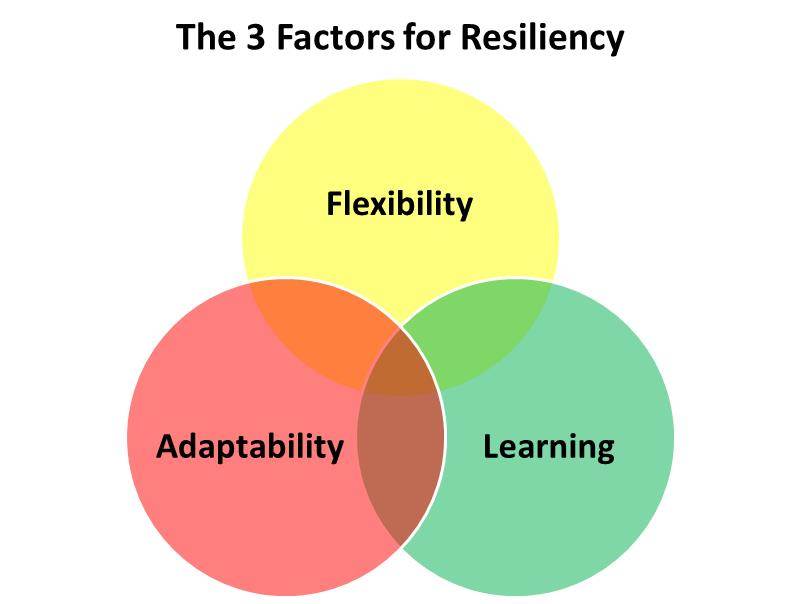 A Librarians Journey: : Part One : The Art of Resiliency in the Life of ...