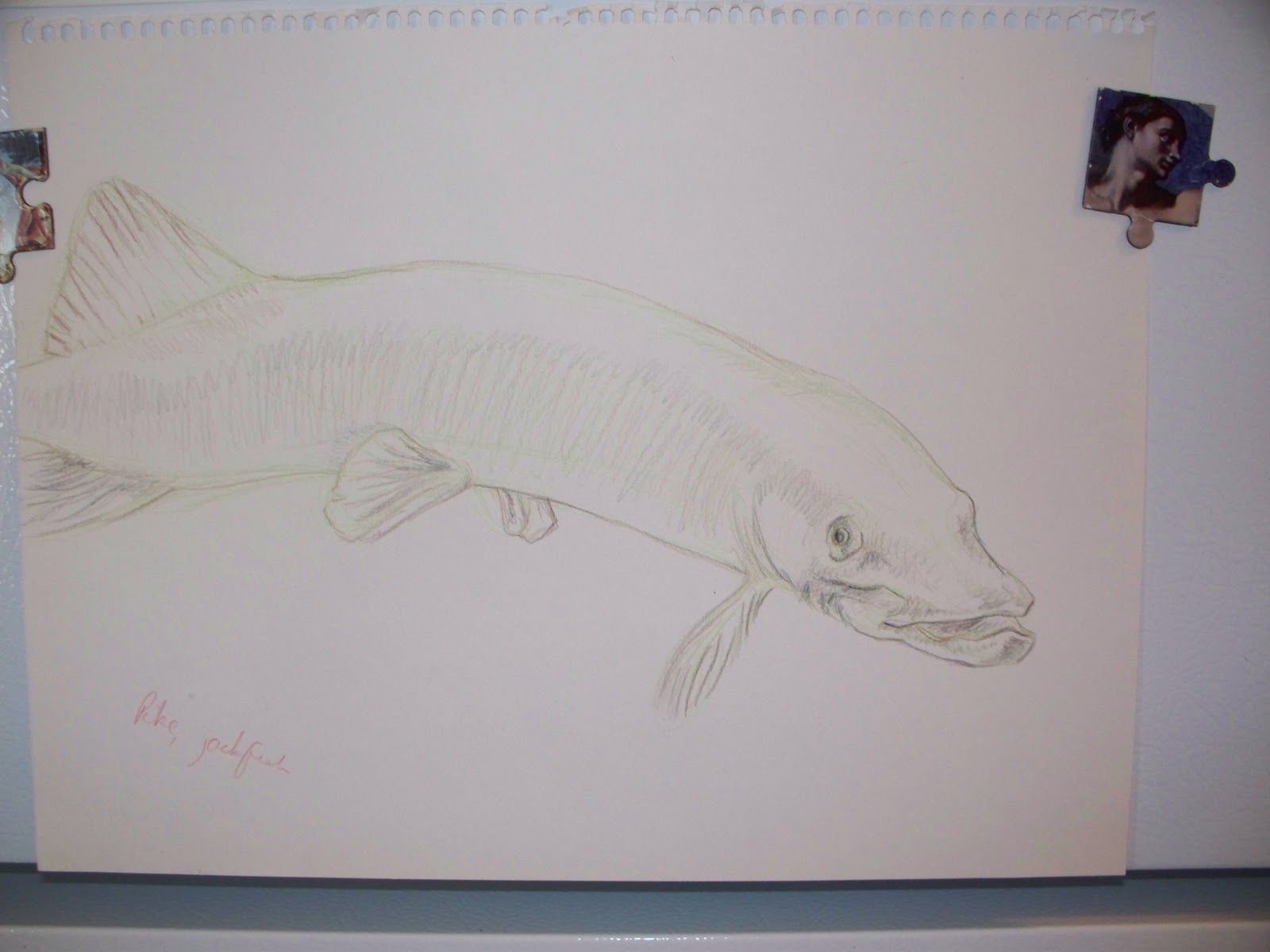 word balloon: Swimming Across the Page