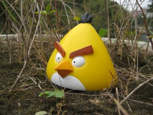 Dawn Of Battle: YELLOW BIRD