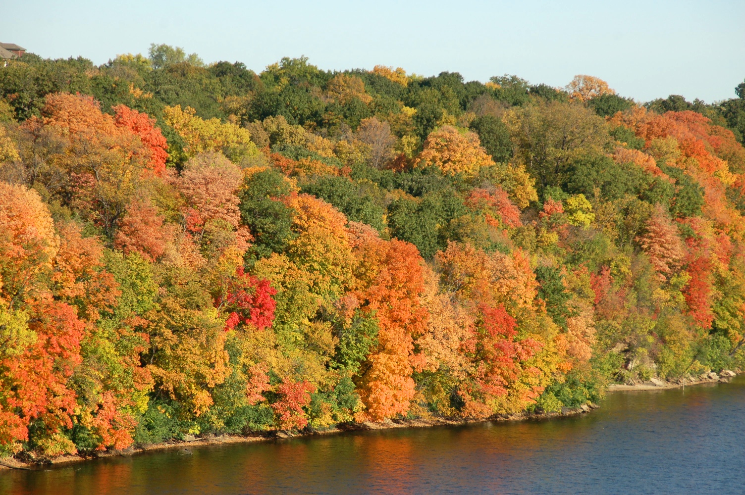 The Minnesota Forecaster: Fall Foliage (and Precip, Where Art Thou?)