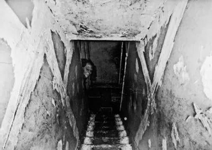 Top 10 Werewolf Caught On Camera Spotted In Real Life