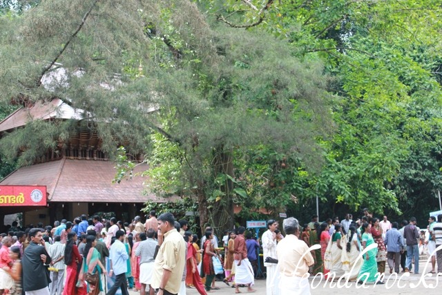 "Life" On The Rocks: MY VISIT TO THE FAMOUS SNAKE TEMPLE.....