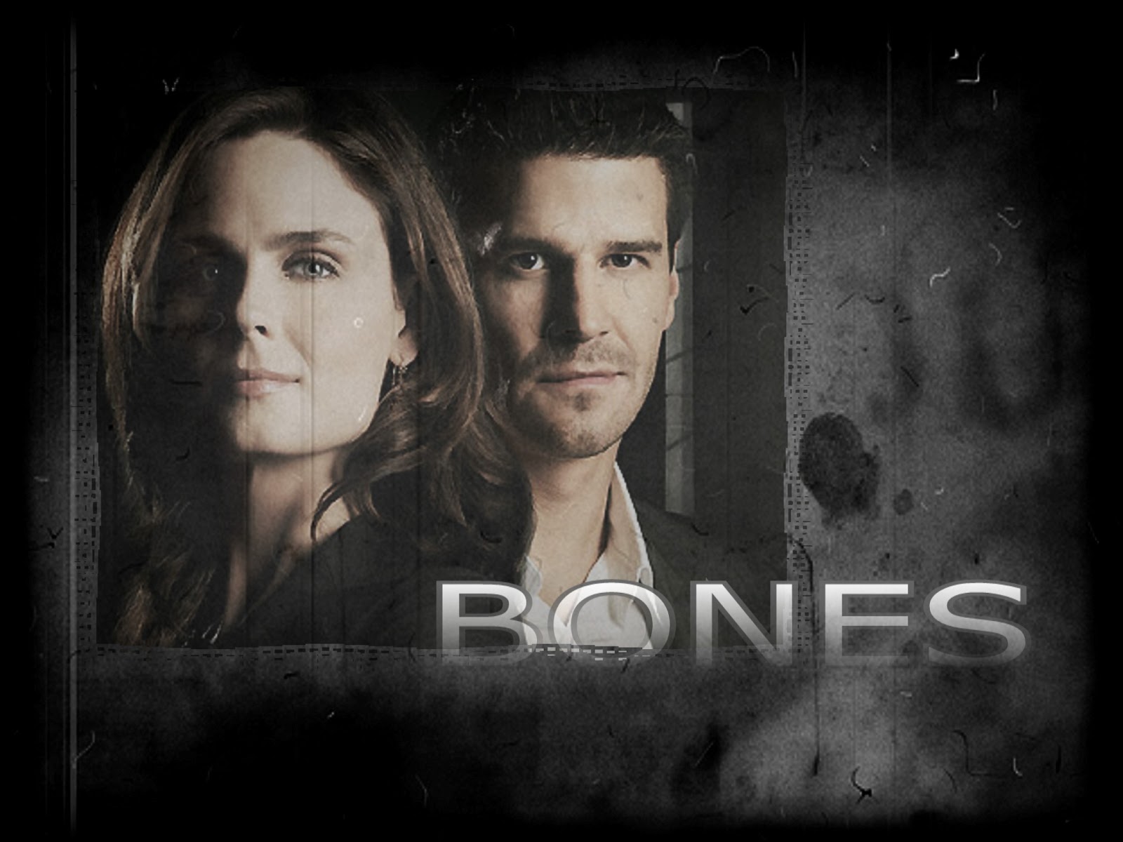 Bones Poster Gallery2 | Tv Series Posters and Cast
