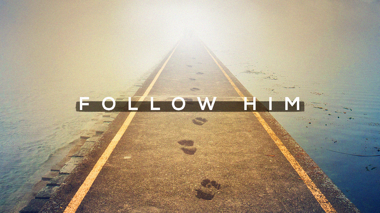 John McClendon: Explore The Bible Study: Jesus Calls