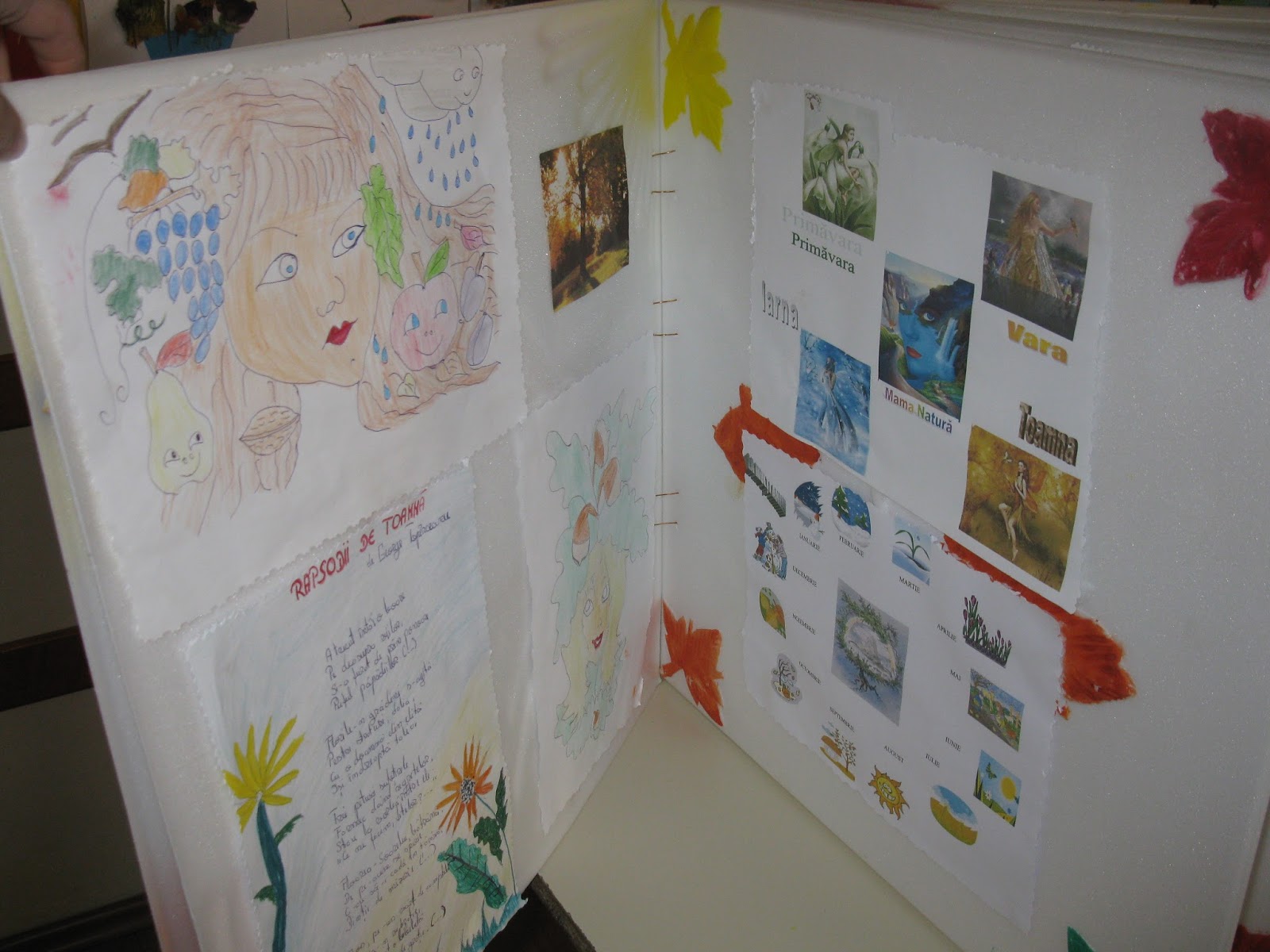 CLASA MEA: Portofolii