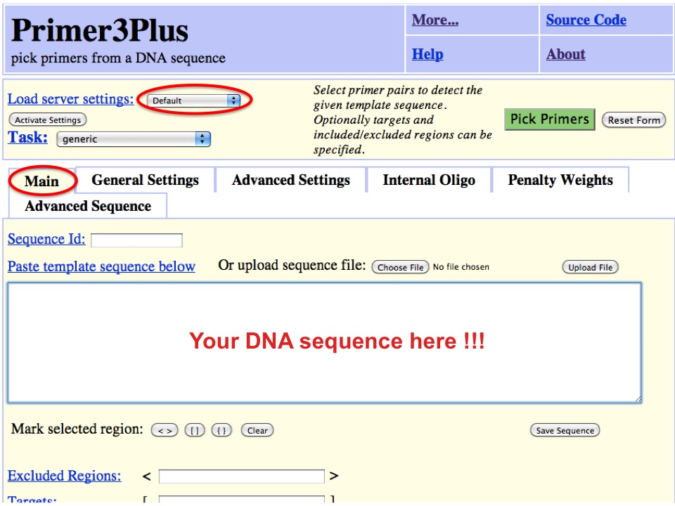 Sinh học phân tử & Ứng dụng: Hướng dẫn sử dụng Primer3 để thiết kế mồi ...