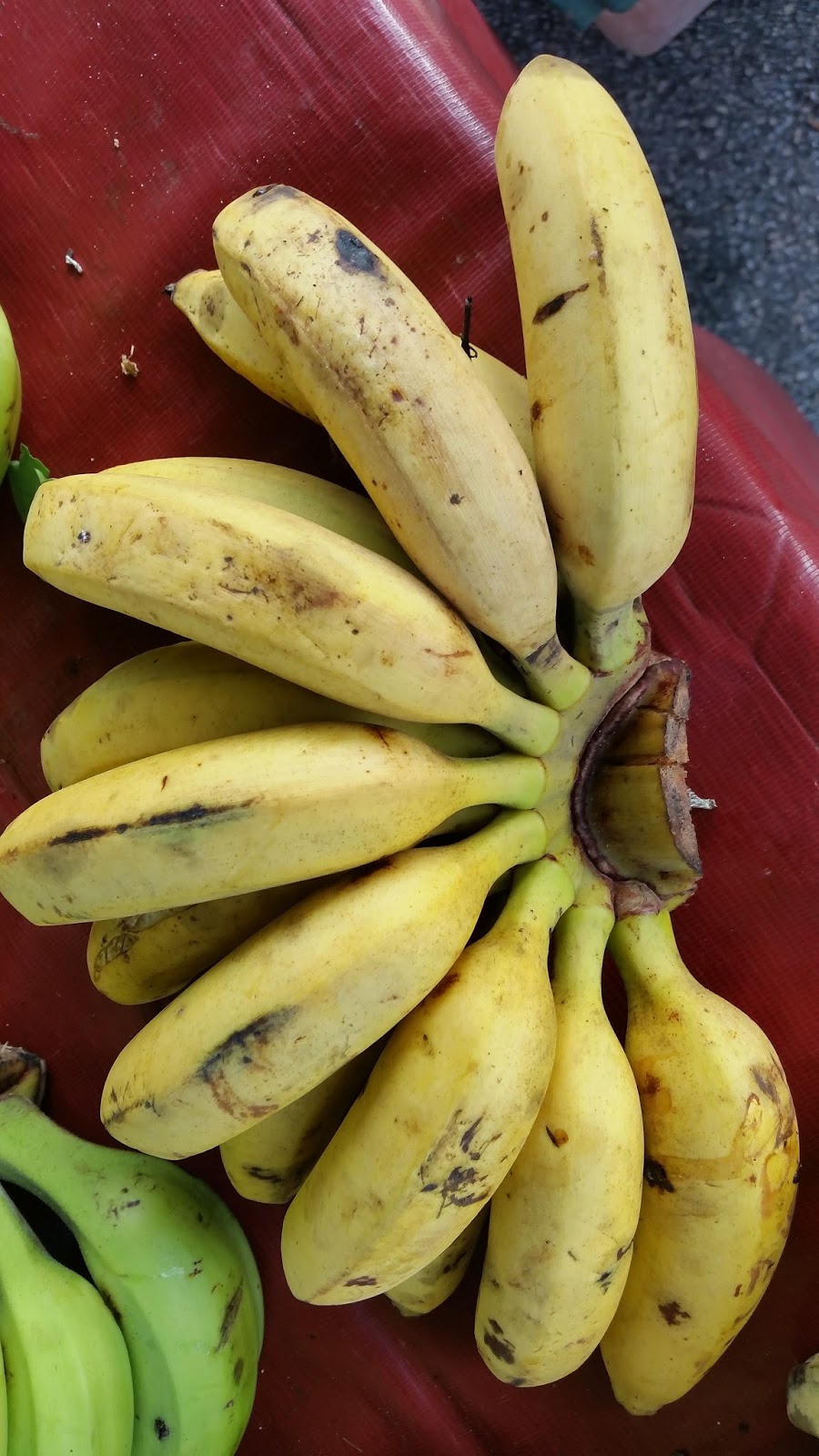 Warisan Petani: Pokok Pisang Raja