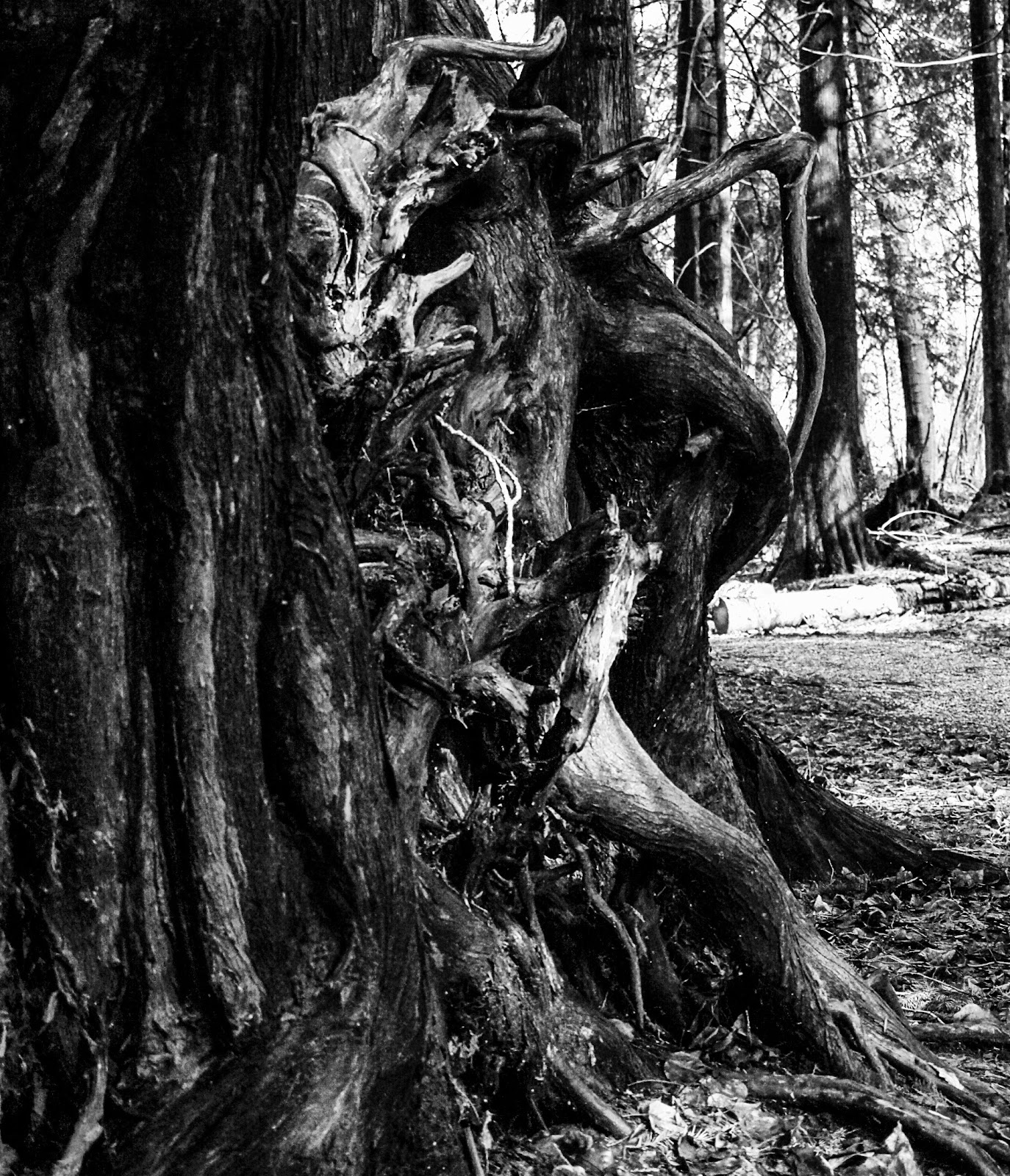 Maniac With Camera Blog: Some Reworked Photos from 2007