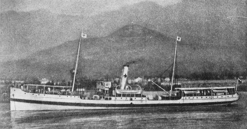 Fascinating Facts Of The Great War: Remembering Hospital Ship "Vpered ...