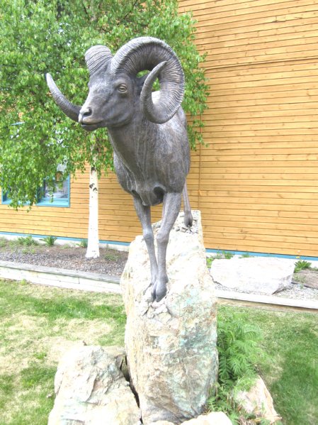 Travels of Pauline and Chuck: Whitehorse, Yukon Territory: 1st day ...