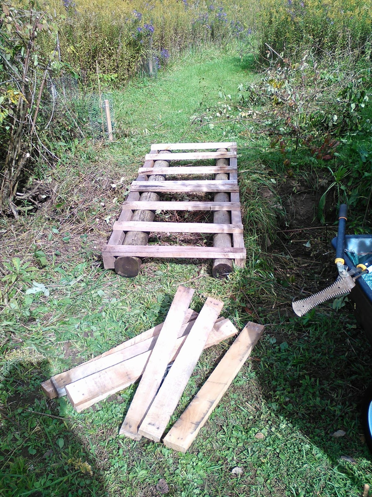 the common milkweed: Pallet Bridge