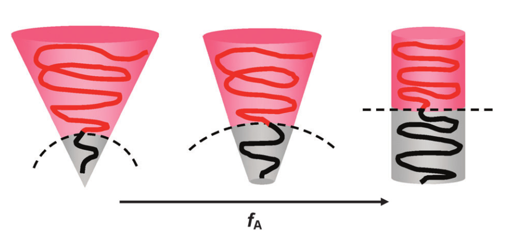 What are block copolymers and how do they self-assemble? | through the ...