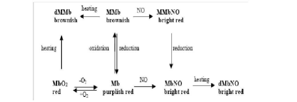 Simply Healthy Life Magazine: Nitrates, Nitrites, Meat and Meat Products
