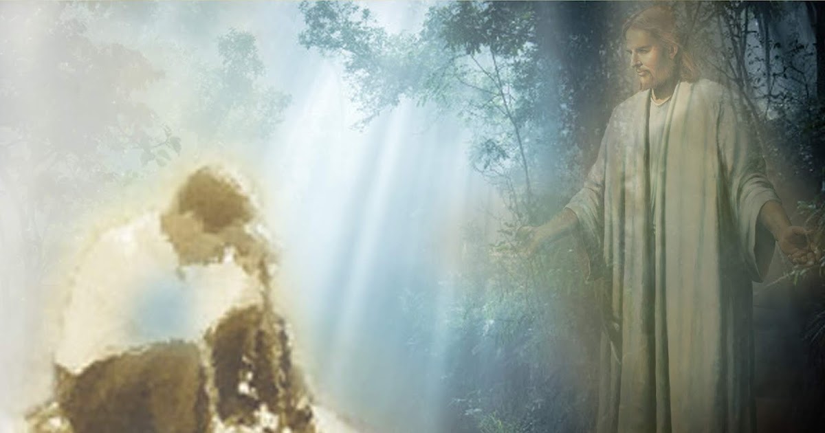 Divine Principle: The New Revelation of Rev. Moon: Divine Principle ...