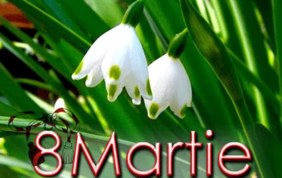 Informaţii cu Măsură Plus: Cum cade 8 martie 2017, sau Ziua Femeii